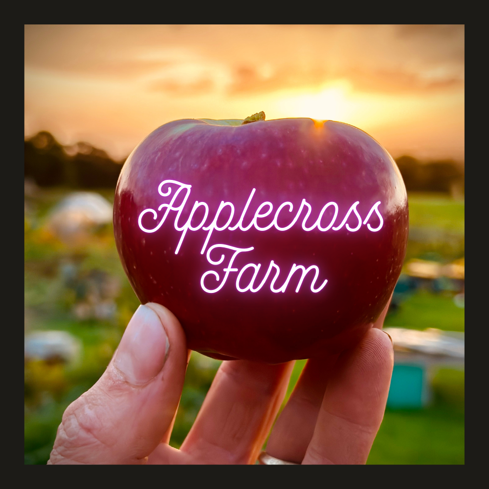 Seeds of Support: An Applecross Farm Story | Applecross Farm